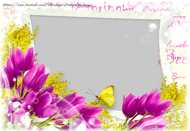 Custom Greeting Cards With Photo Page 8 Messageswishesgreetings